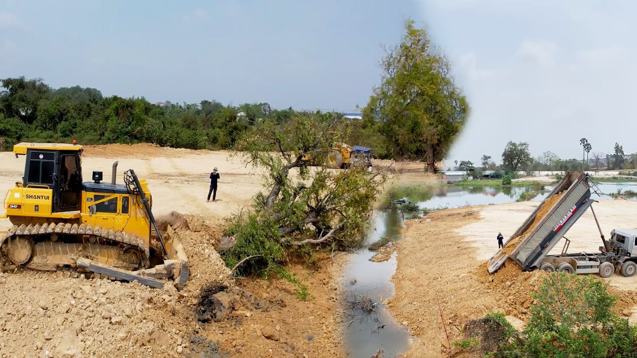 Wow!! Amazing Action Showing Techniques Operator Push Big Tree & Soiled ...
