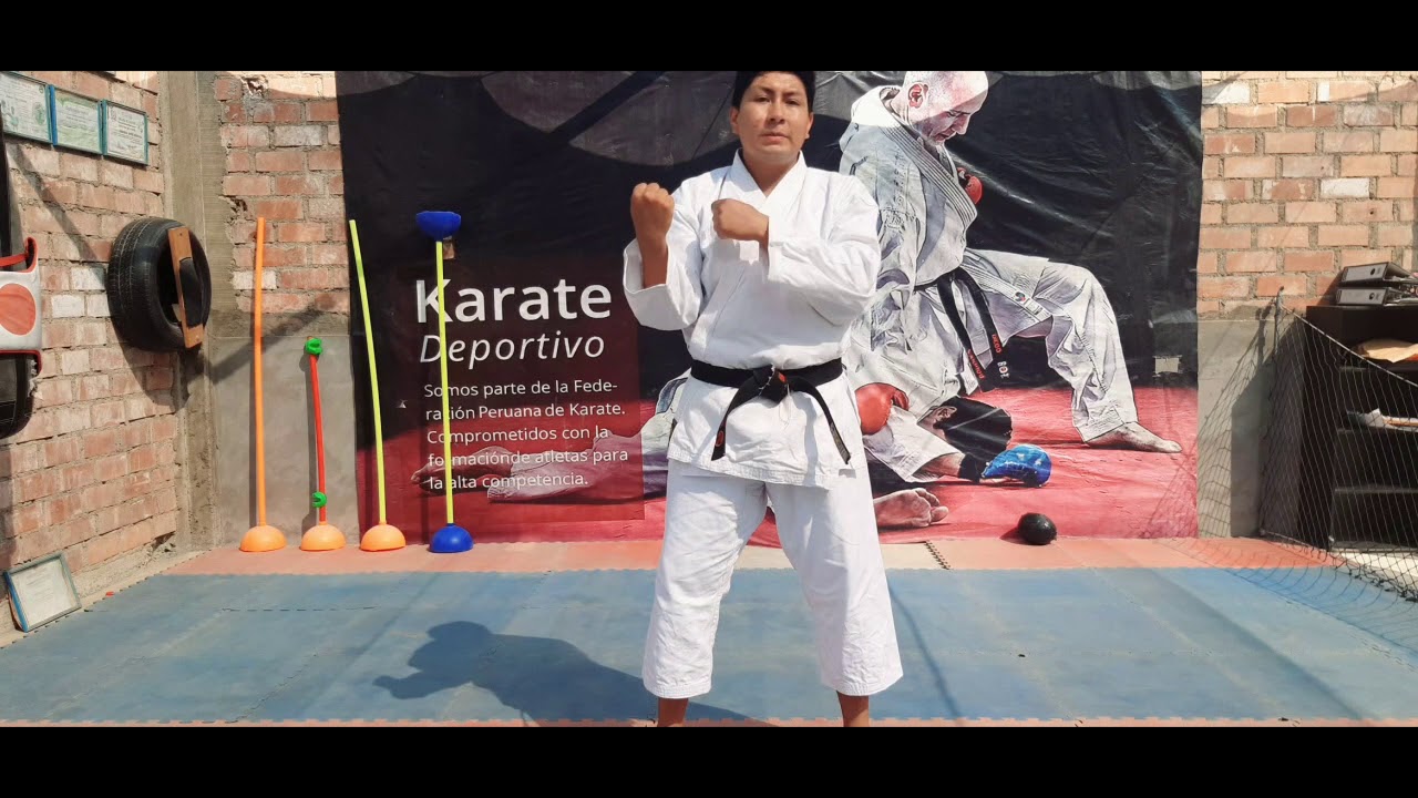 Gedan Barai Uke- Estilo okinawa Goju Ryu - bLOQUEO CIRCULAR - KARATE ...