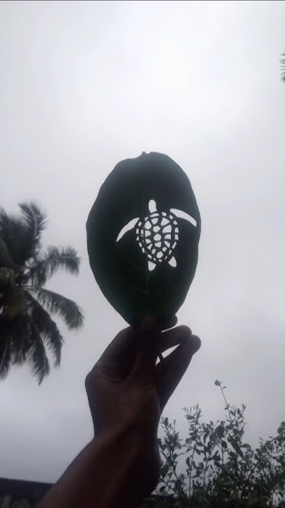 tortoise leaf art #shortsfeed #ytshorts - YouTube