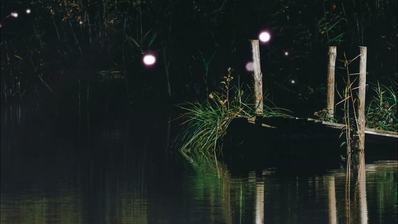 Louisiana Bayou Ambience Nature Sounds Crickets Frogs Mosquitoes And Banjo And Vintage Blues