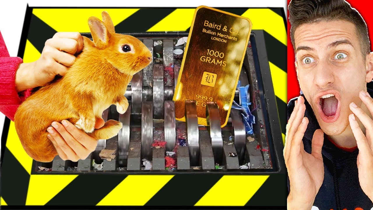 SHREDDING CUTE & EXPENSIVE SATISFYING THINGS in SHREDDER MACHINE! - YouTube