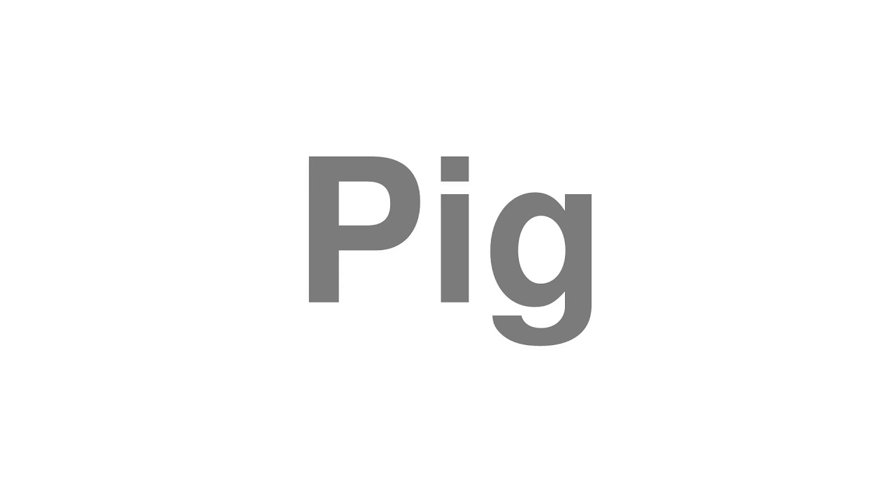 How to Pronounce "Pig" - YouTube