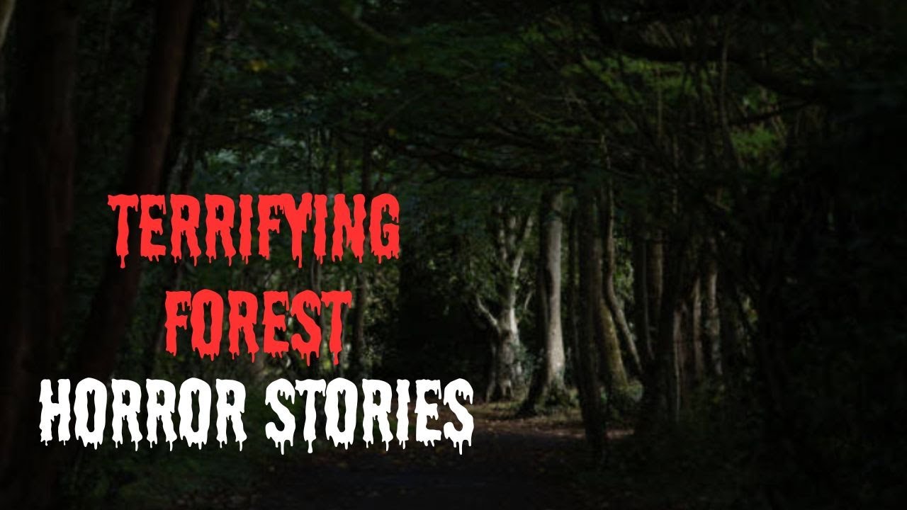 3 Terrifying TRUE Forest Horror Stories - YouTube