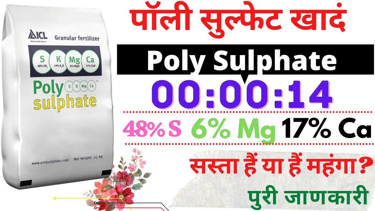 पॉली सुल्फेट खादं | Polysulphate Fertilizer Review - YouTube