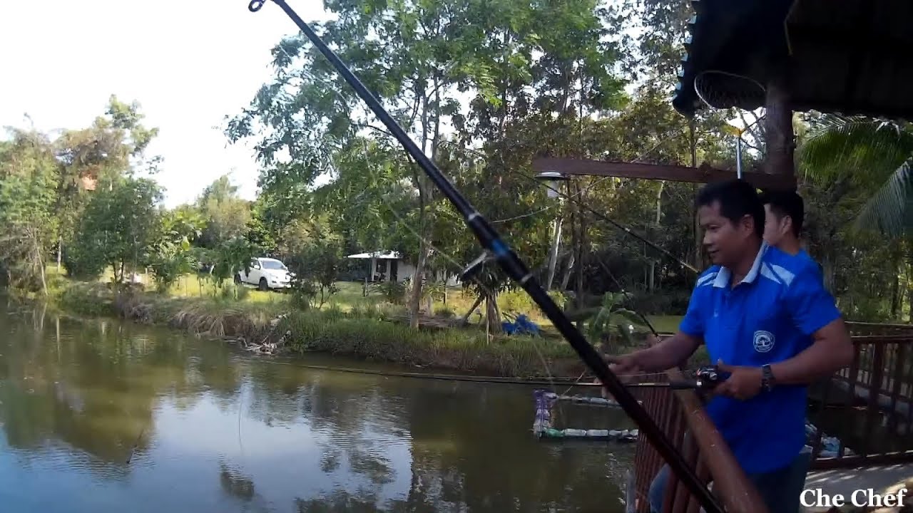 ตกปลาจนเบ็ดหลุด มาดูกันว่าจะใหญ่แค่ไหน Fishing | Che Chef - YouTube