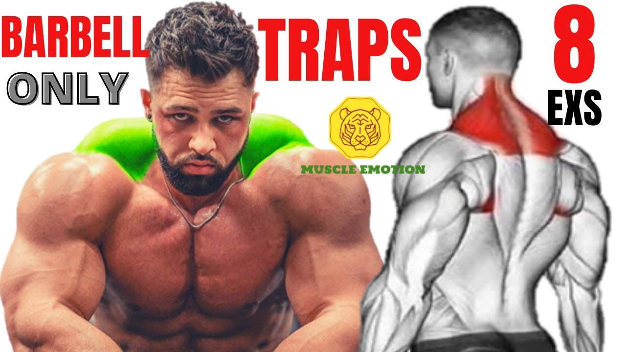 TRAP WORKOUT -MASSIVE / 8 best BARBELL exericises for bigger traps ...