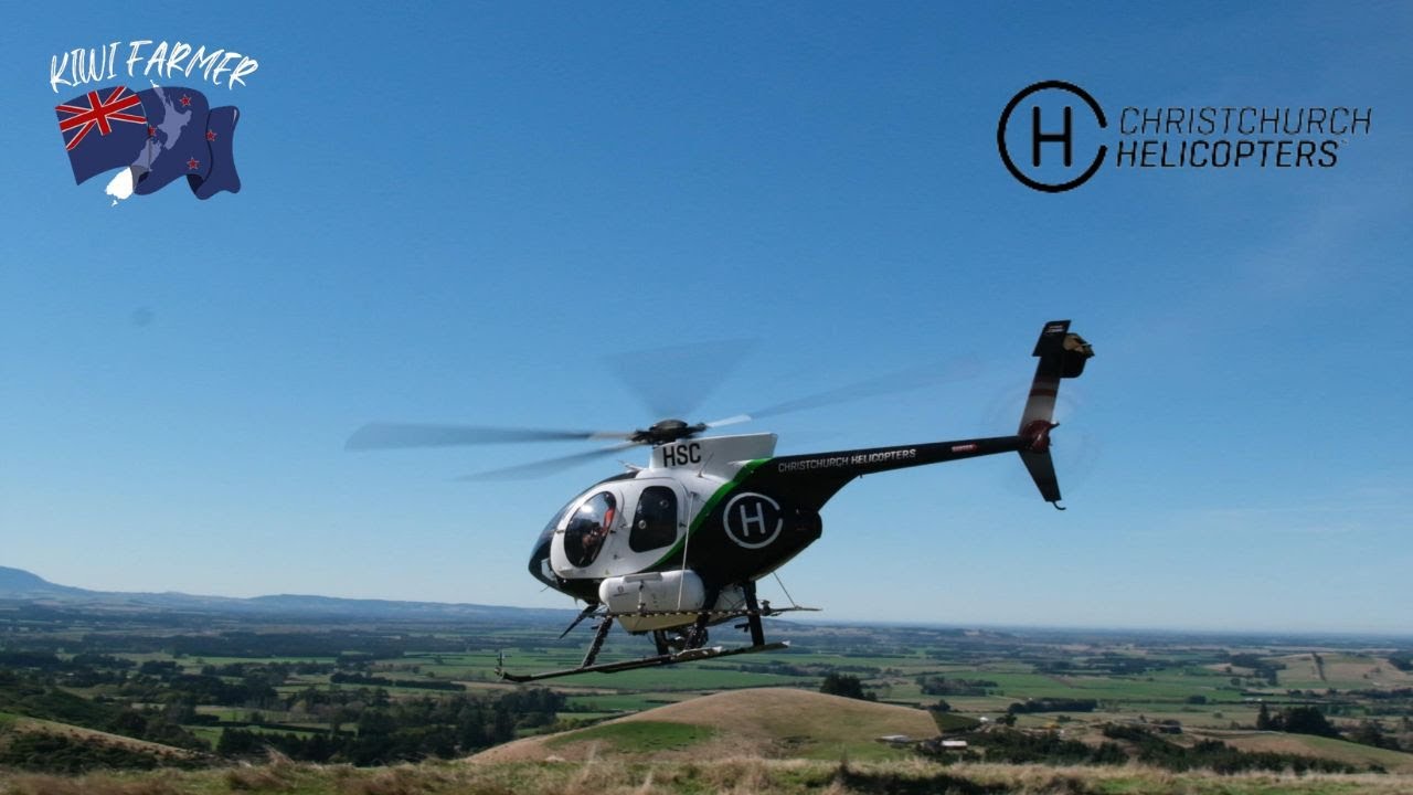 Spraying Time | Gorse and Pine Trees | MD500 - YouTube