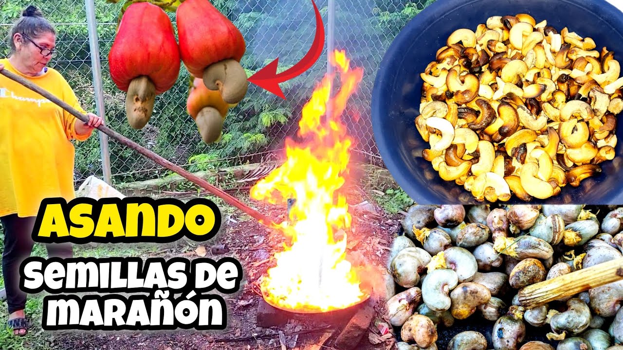 😋SEMILLAS DE MARAÑON...así las asamos en El Salvador Usulután. #viralvideo - YouTube