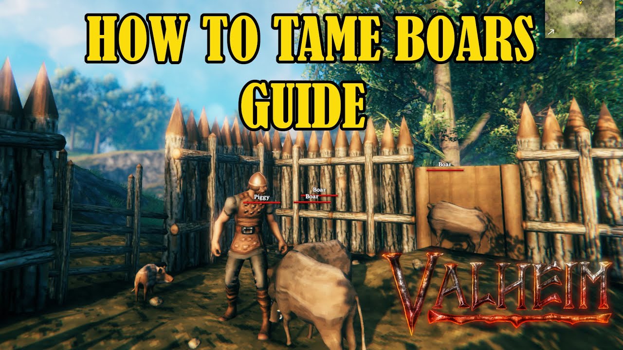 How To Tame And Breed Boars in Valheim Guide - YouTube