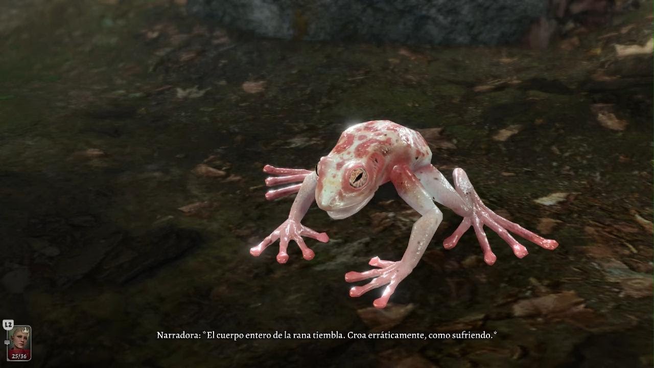 Baldur's Gate 3 - Cute Frog - YouTube