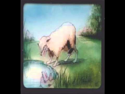 Aesop's Fables - Wolf & Sheep's Clothing - YouTube