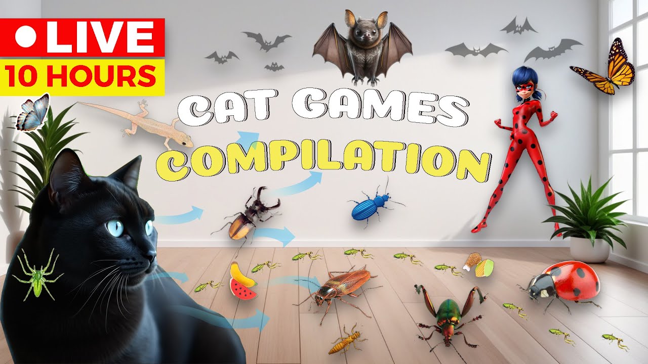 🔴 24/7 Live ★ CAT GAMES ★ 10 Hours Of Indoor Bug Hunting Fun 🦋🦎🪲🐝 ...