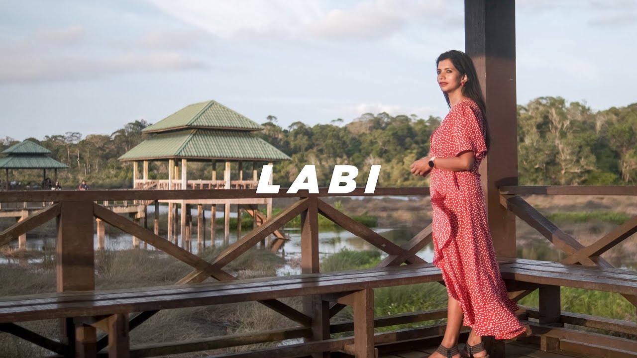 Brunei Travel Video- Labi [Cinematic 4K Travel Video] - YouTube