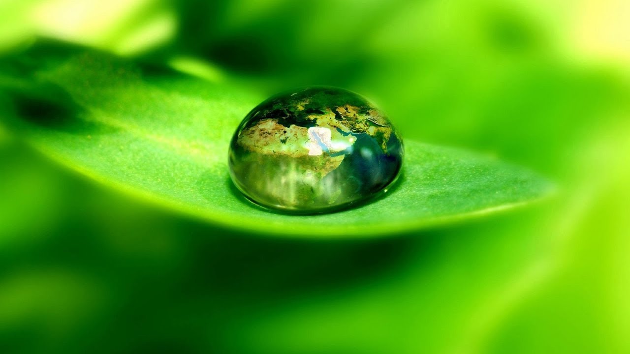 🌳 Green - the color of life, renewal, nature, and energy! ... (music by ...