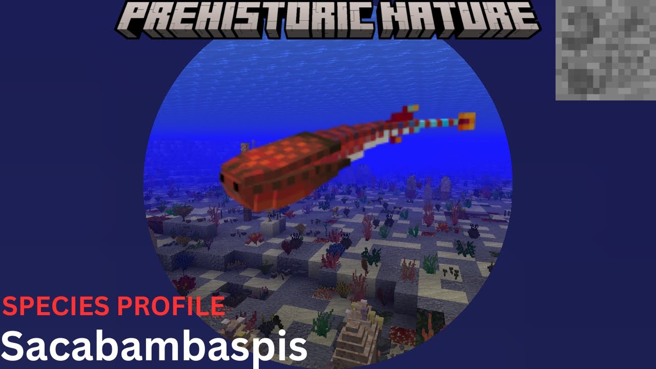 Prehistoric nature - Sacabambaspis species profile - YouTube