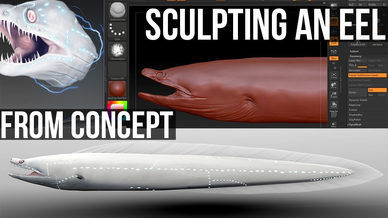 Sculpting an Eel from Concept | Z BRUSH - YouTube