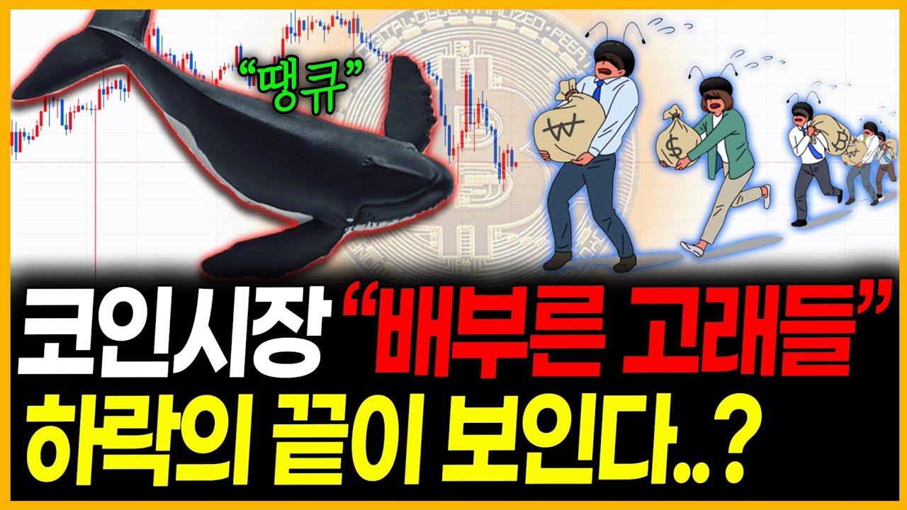 코인시장 하락의 끝자락 상승이 보인다 비트코인 이더리움 리플 도지코인 라이트코인 솔라나 버추얼프로토콜 오피셜트럼프