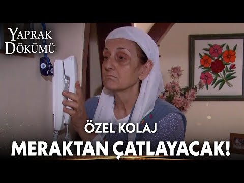 Acil dedikodu takviyesi alması lazım! - İkonik Cevriye Sahneleri