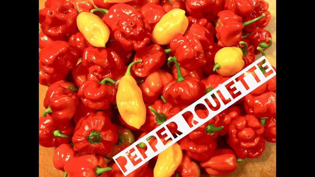 Pepper Roulette Challenge! - YouTube