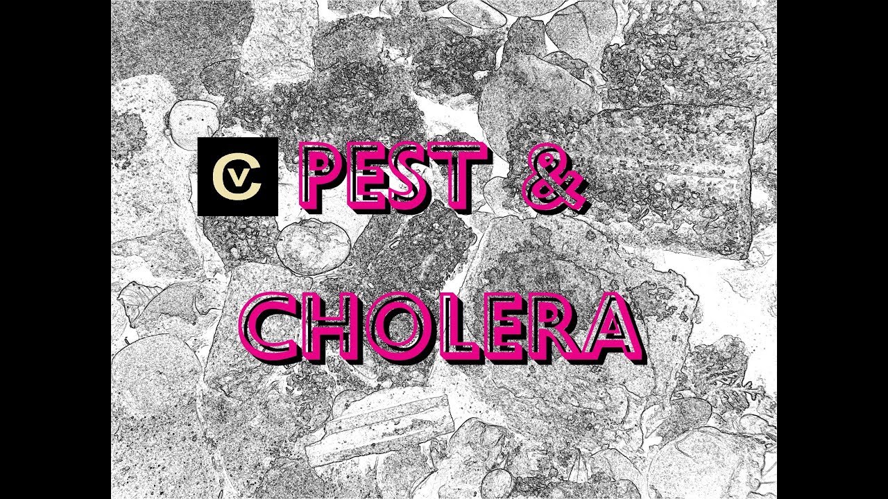 Pest & Cholera - ein Lied für die Pharmabosse (432 Hz) - YouTube