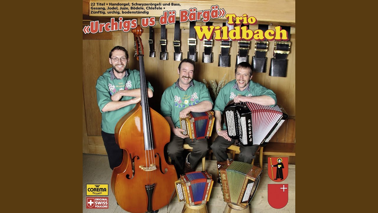 Ä Gruess a Saasberg (feat. Roger Diethelm) - YouTube Music