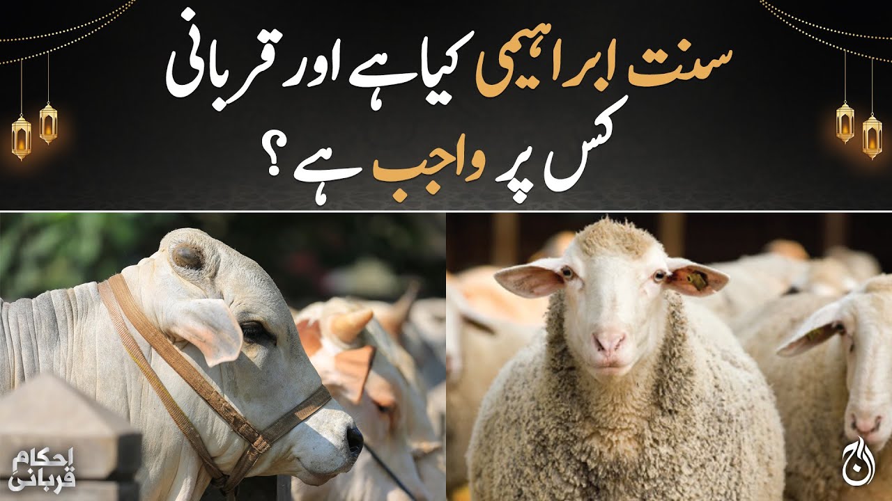 What is Sunnat-e-Ibrahimi and on whom is the sacrifice obligatory ... What is Sunnat-e-Ibrahimi and on whom is the sacrifice obligatory ...