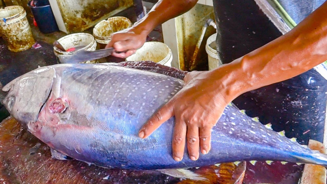 HOW A MASTER CUTTER BUTCHERS A TUNA FOR SUSHI IN 2023 - YouTube
