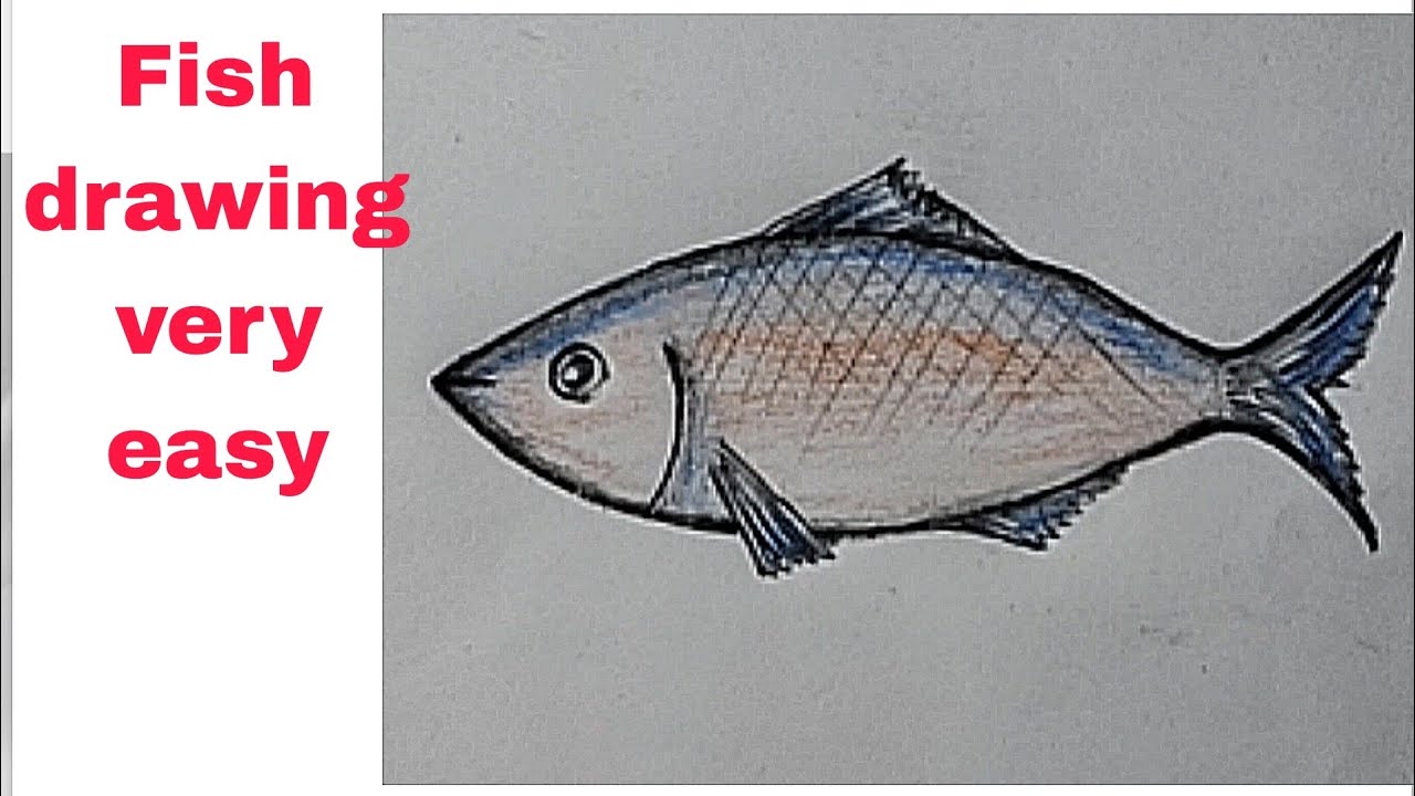 How to draw fish 🐟? easy fish drawing//drawing tutorial easy// fish ...