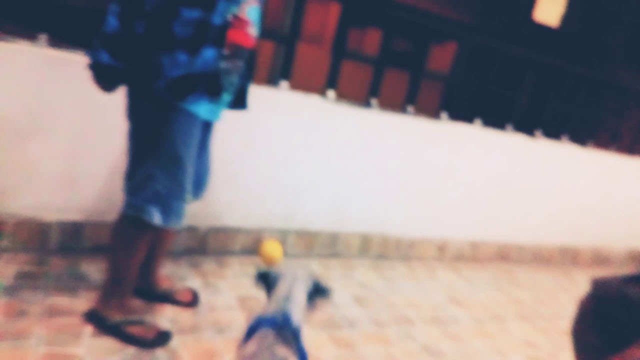 Doky un perro adorable - YouTube