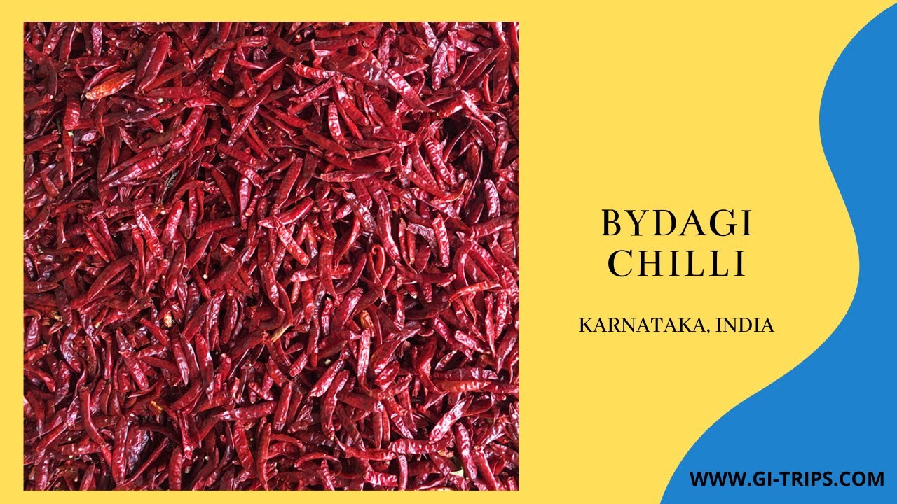 Byadgi Chilli |The Best Chilli in Karnataka | Buy Now on www.gitrips ...