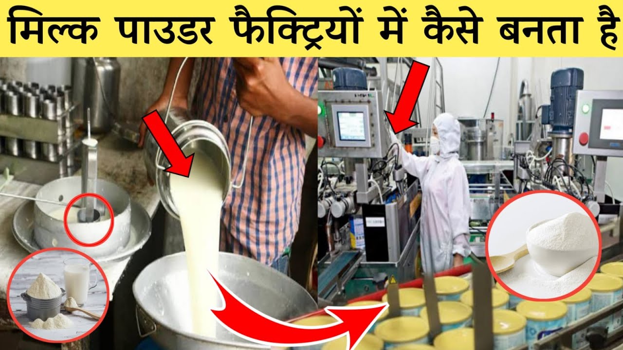 देखिए कैसे बनता है डिब्बे वाला पाउडर दूध | Milk powder manufacturing ...