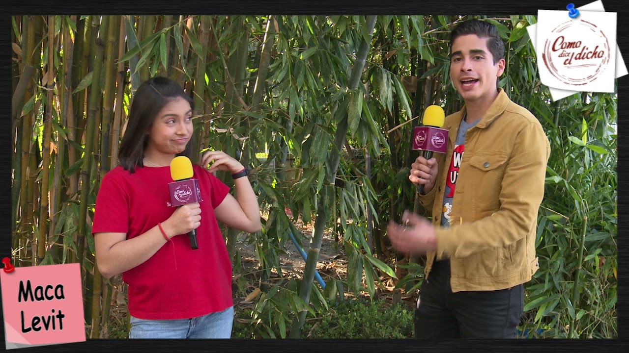 ENTREVISTA MACA LEVIT COMO DICE EL DICHO - YouTube