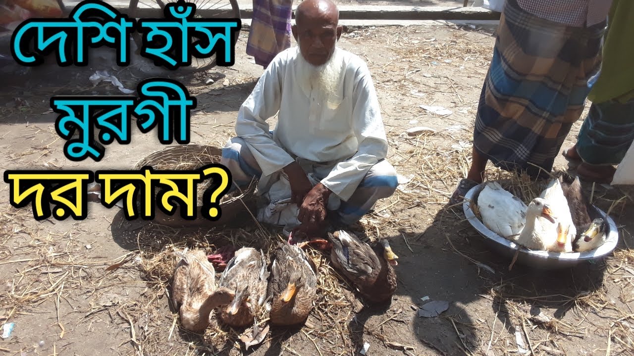 দেশি হাঁস মুরগীর দাম দর জানুন। শ্রীরামপুর বাজার।Deshi Hash Murgi Bazar ...