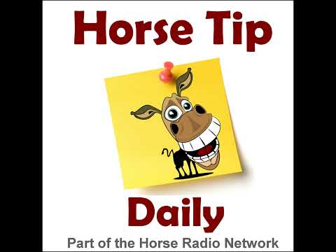 Horse Tip Daily #35 – Jessica Phoenix on Stretching Before and After