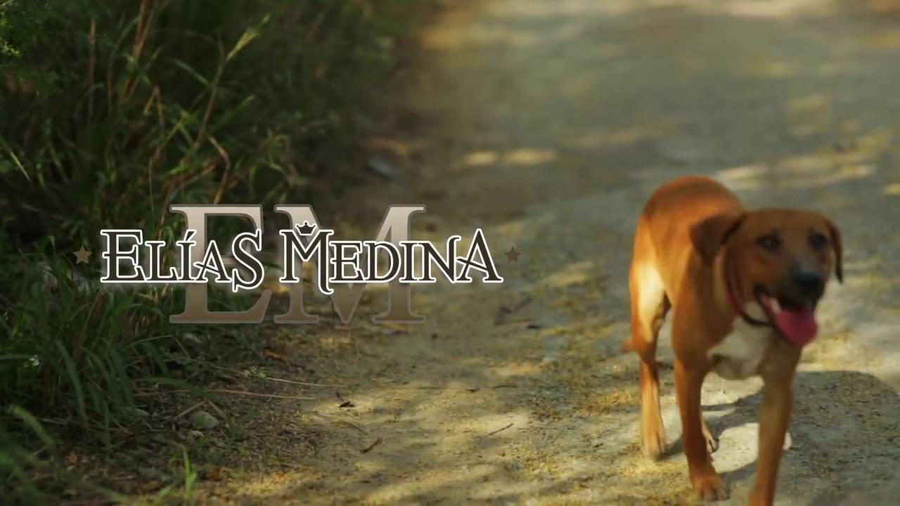 Perro de Rancho (feat. Elias Medina) - Los Tercos (Video Oficial) - YouTube