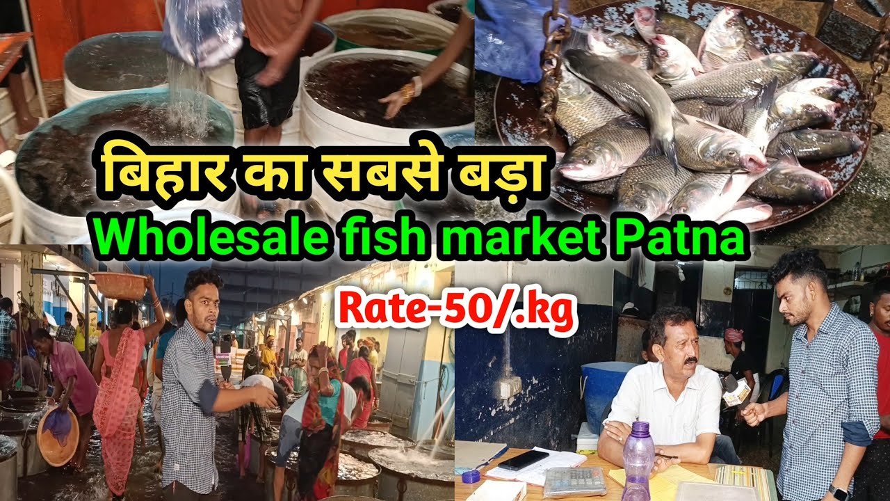 बिहार का सबसे बड़ा मछली बाजार || Wholesale Fish Market Patna || #patna ...