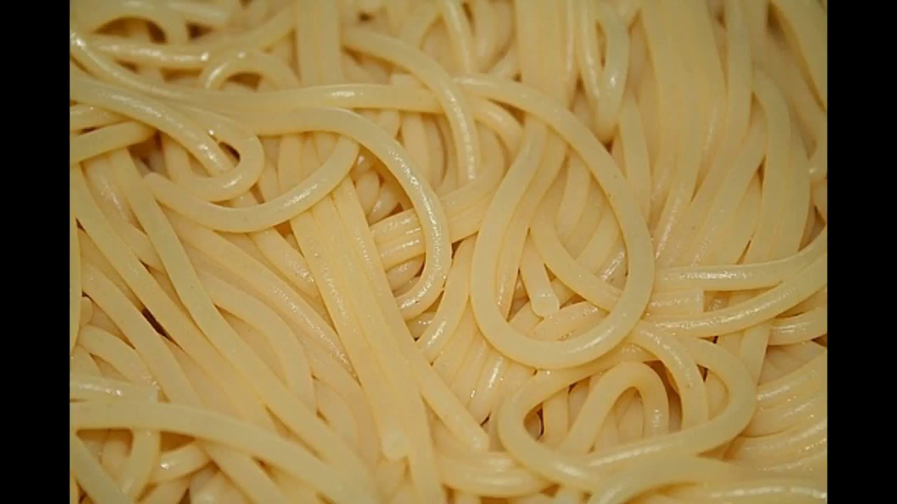 Wet Spaghetti - BirbOmega - YouTube