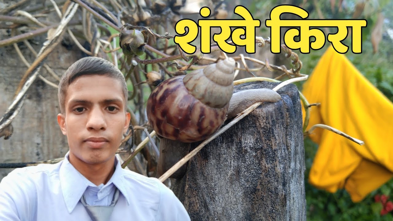 Janak Acharya - शंखे किरा ले गर्‍यो घर भरी हैरान - YouTube