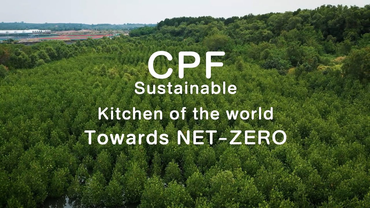 เรื่องดีดี CPF EP. 248 ตอน CPF "ครัวของโลกที่ยั่งยืน" ชู BCG สู่เป้าหมาย Net-Zero - YouTube