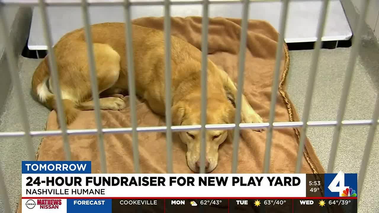 NHA to host 24-hour fundraiser - YouTube