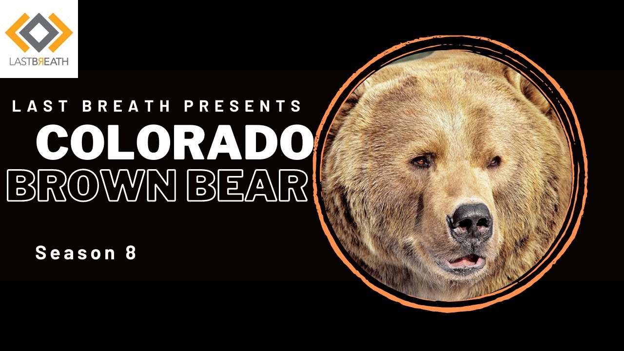 Colorado BROWN BEAR Hunt // Garrett's FIRST BEAR!!! // S8E2 - YouTube