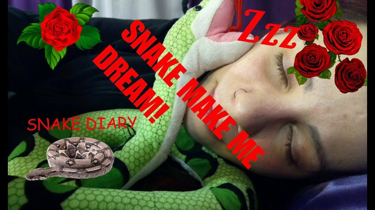 Snake makes me dream zZz SNAKE DIARY Ep111 - YouTube
