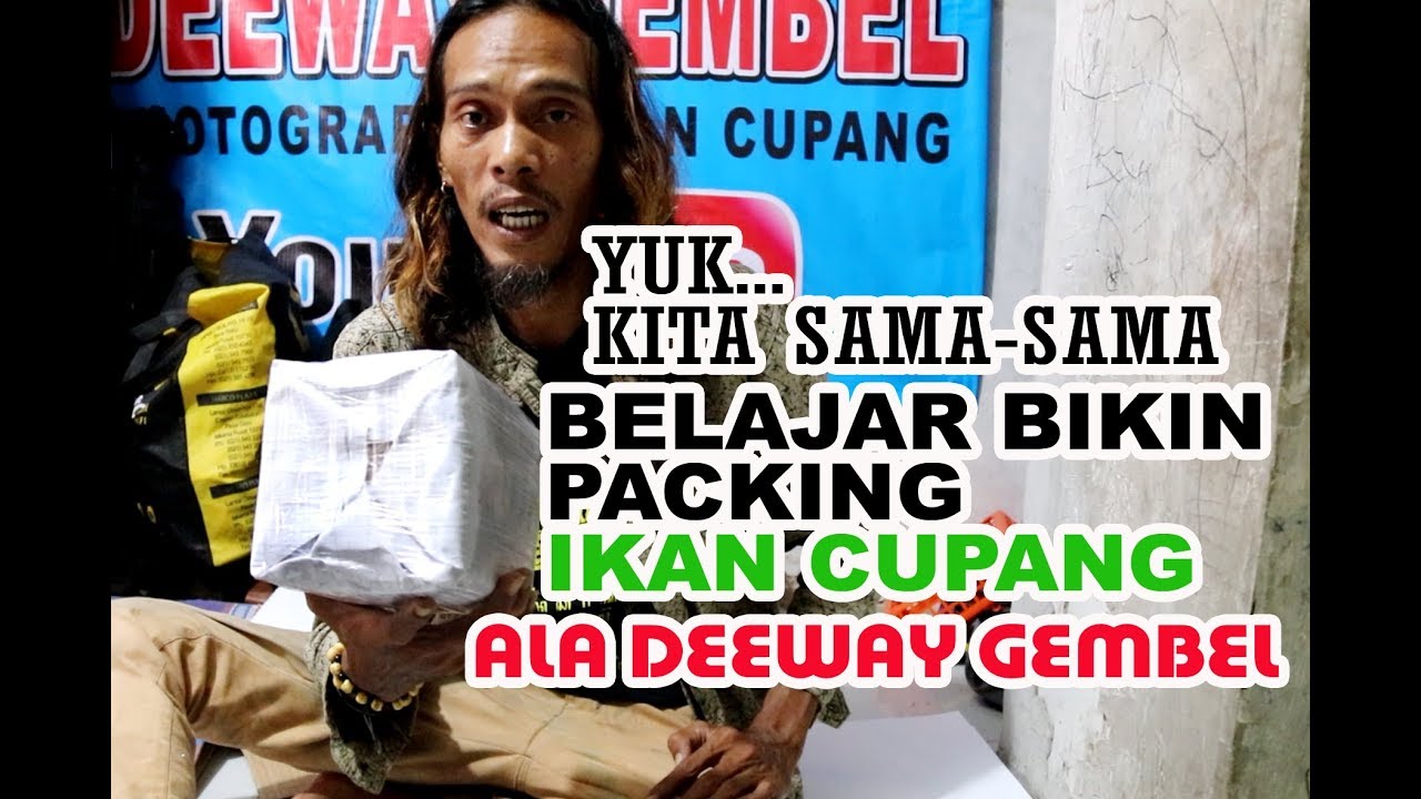YUK BELAJAR BARENG-BARENG CARA PACKING IKAN CUPANG ALA DEEWAY GEMBEL ...