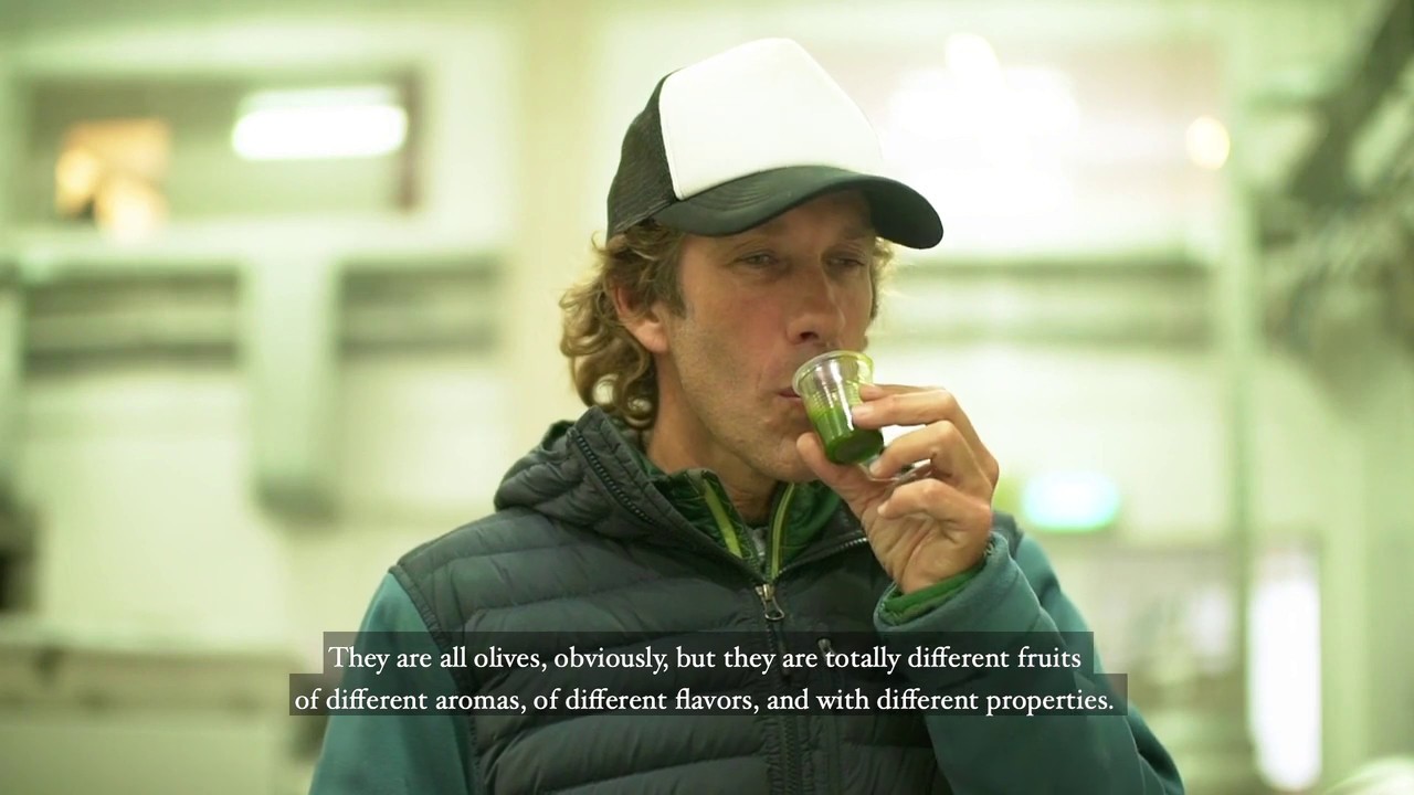 Alonso Olive Oil Partners with Veronica Foods for Venice Olive Oil ...