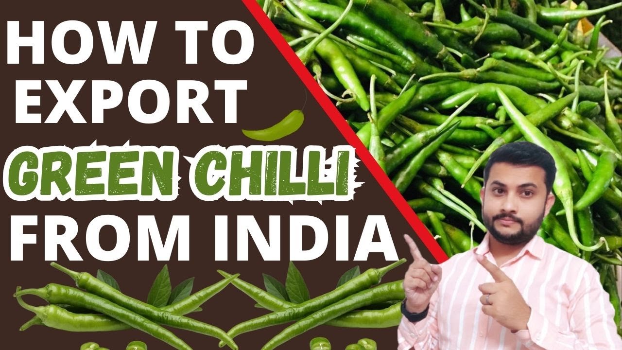 How To Export Green Chilli From India || Benefits of chilli export from ...