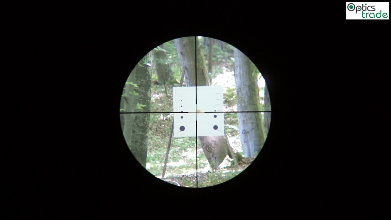 Sightron S TAC 4-20x50 SF Duplex Reticle Subtensions - YouTube