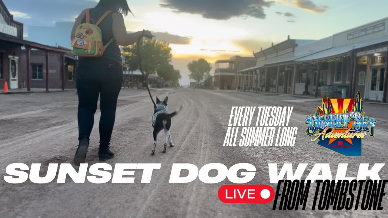 Sunset Dog Walk LIVE: From Tombstone - YouTube