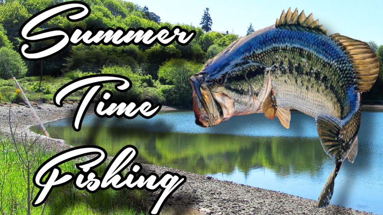 Summer Time Fishing - YouTube
