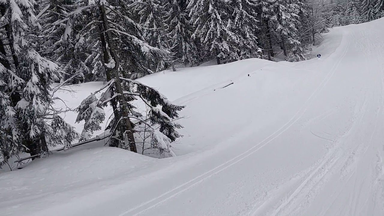 Partie ski Cavnic/Coborare pe partia albastra de la Roata 2 - YouTube