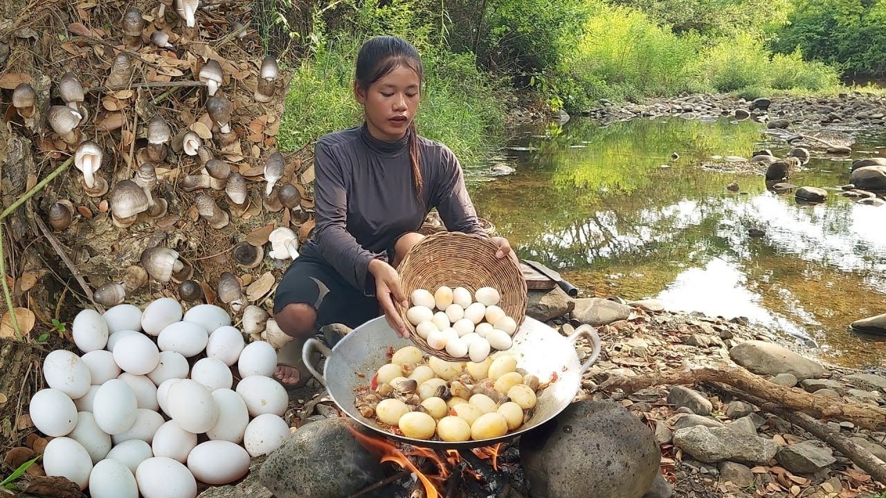 Wow Snake's Eggs! Cooking Curry Egg with Mushroom & Eating Delicious ...